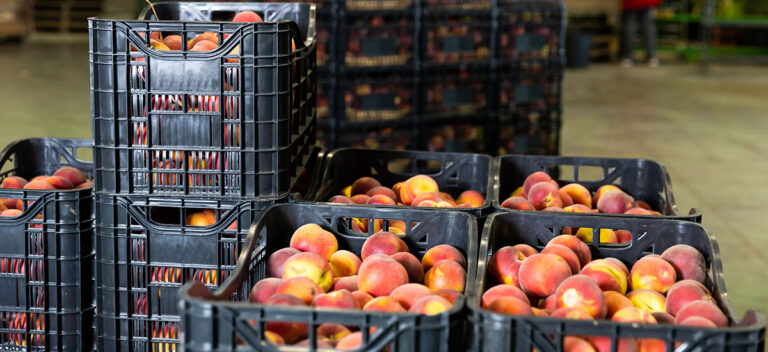 Produce Shipping Guide | Patterson Companies